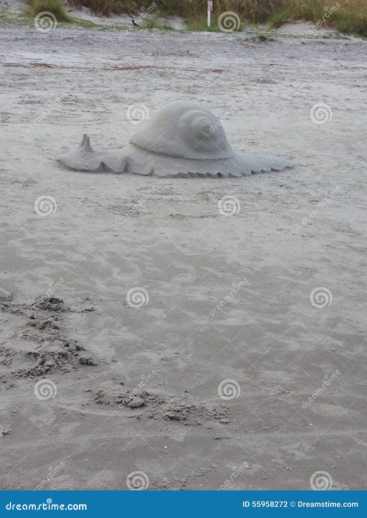 Sandy the Snail stock photo. Image of sand, castles, sandy - 55958272