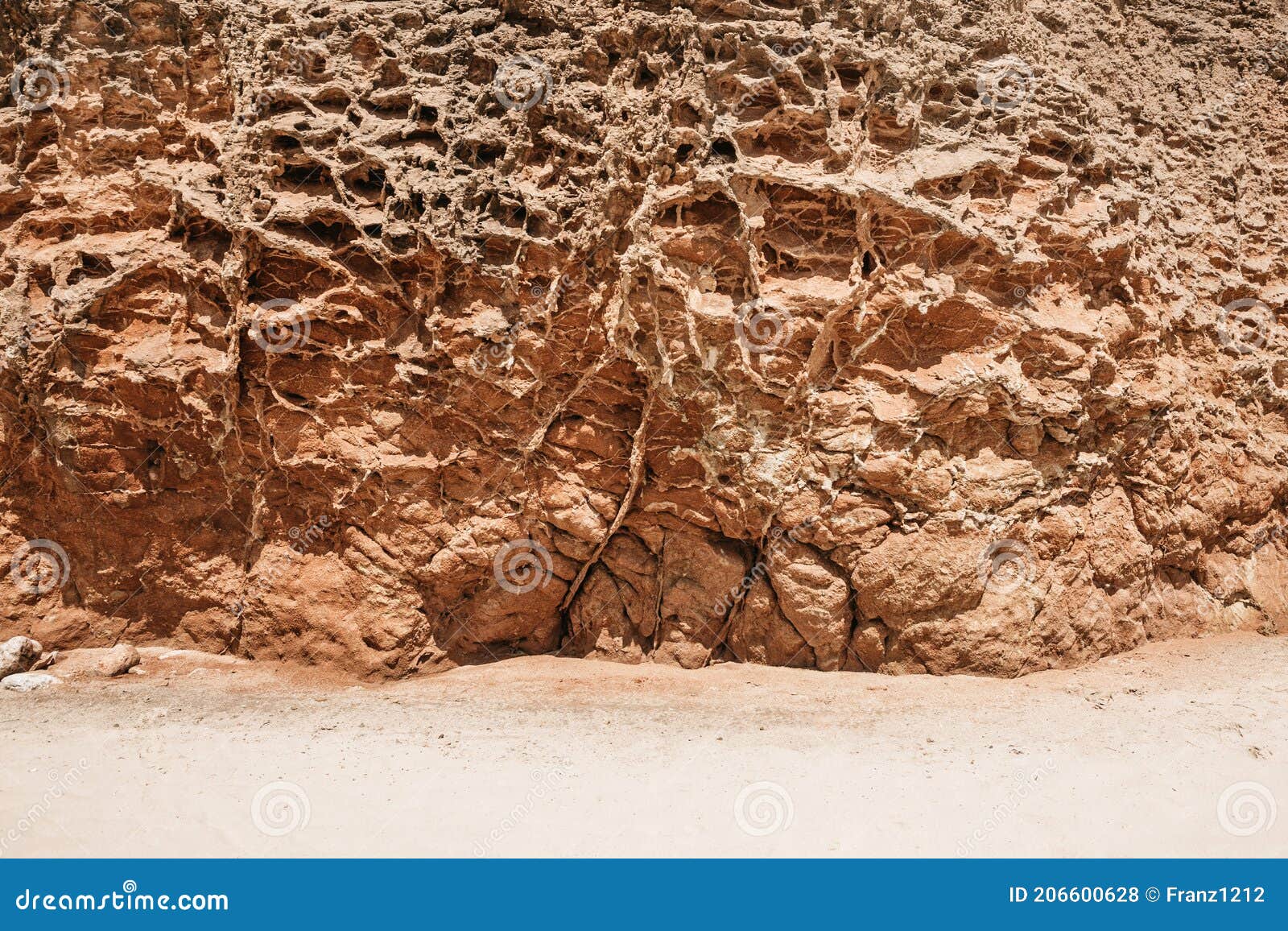 Sandy Soil Erosion View. Tree Roots on the Surface Stock Photo - Image ...