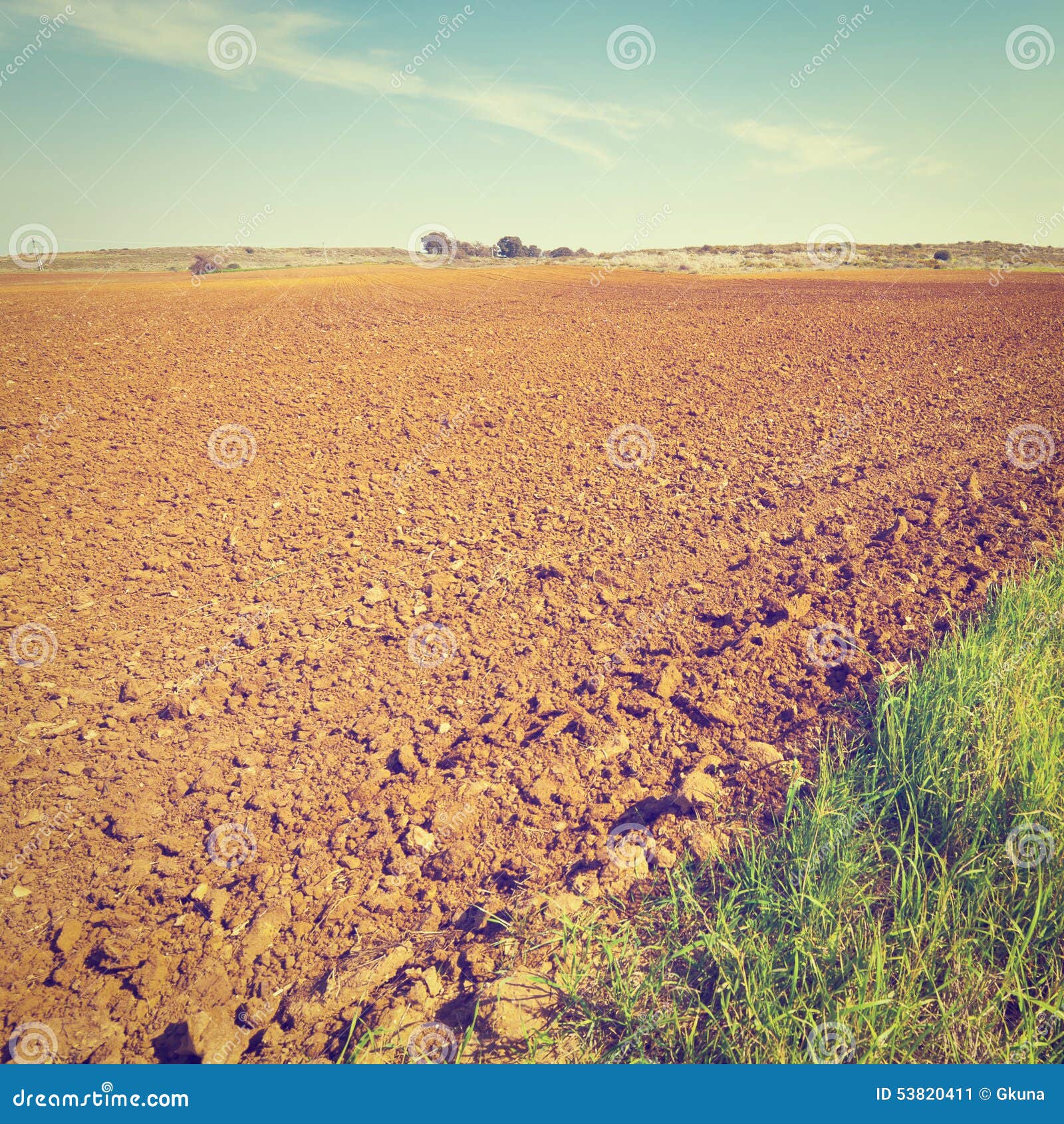Sandy Soil Texture Background. Stock Photography | CartoonDealer.com ...