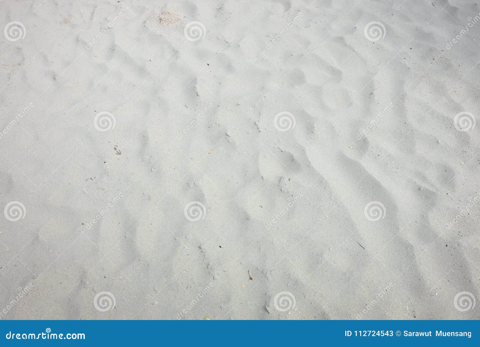 Sandy Soil Texture Background. Editorial Photo | CartoonDealer.com ...