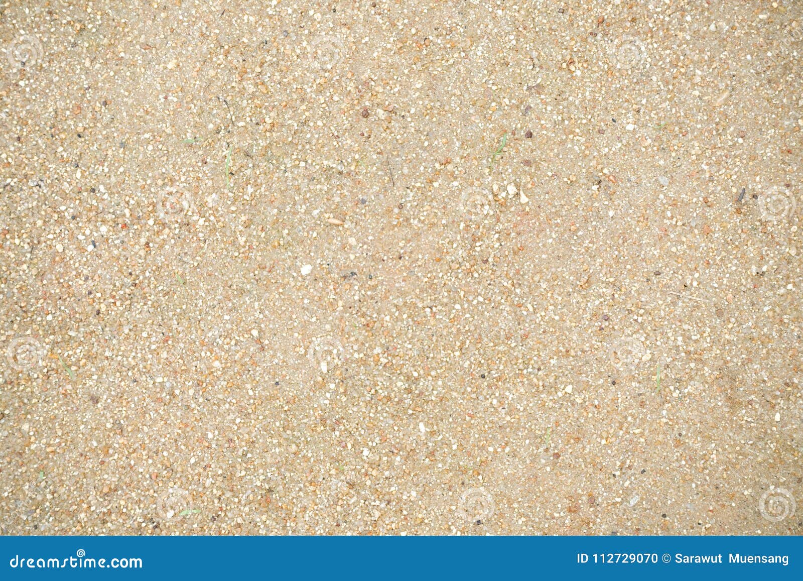 Sandy Soil Texture Background. Editorial Image | CartoonDealer.com ...