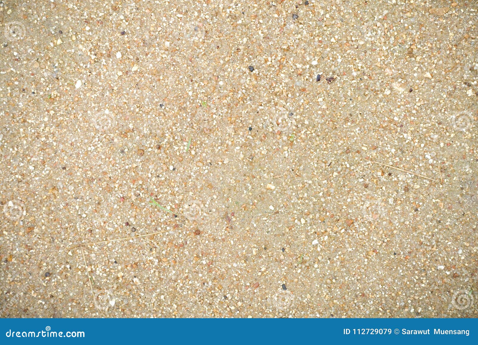 Sandy Soil Texture Background. Editorial Photo | CartoonDealer.com ...