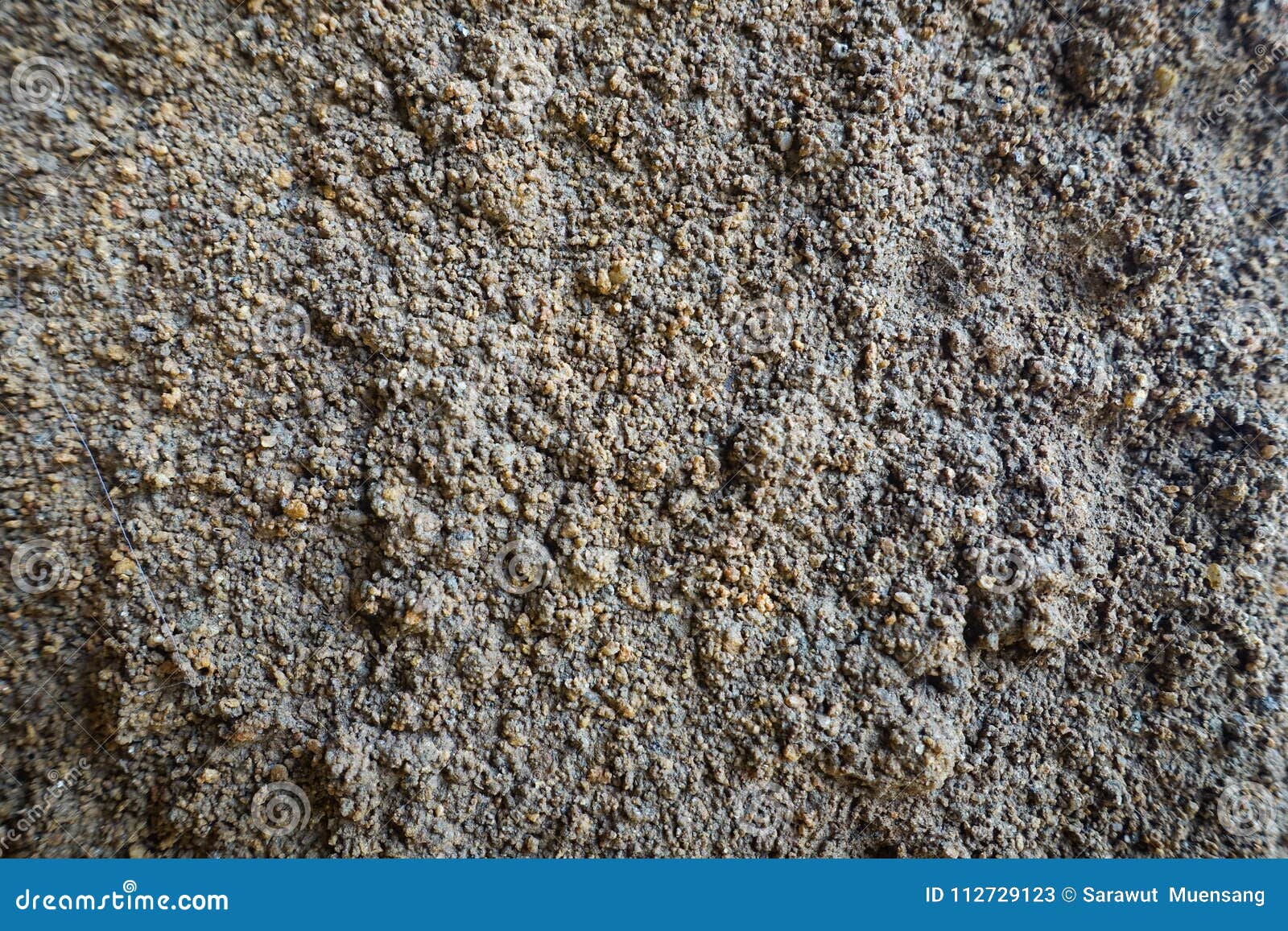 Sandy Soil Texture Background. Editorial Image | CartoonDealer.com ...