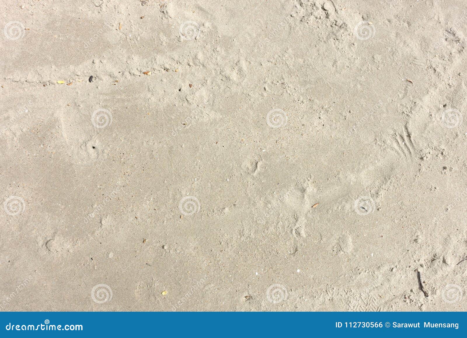 Sandy Soil Texture Background. Editorial Image | CartoonDealer.com ...