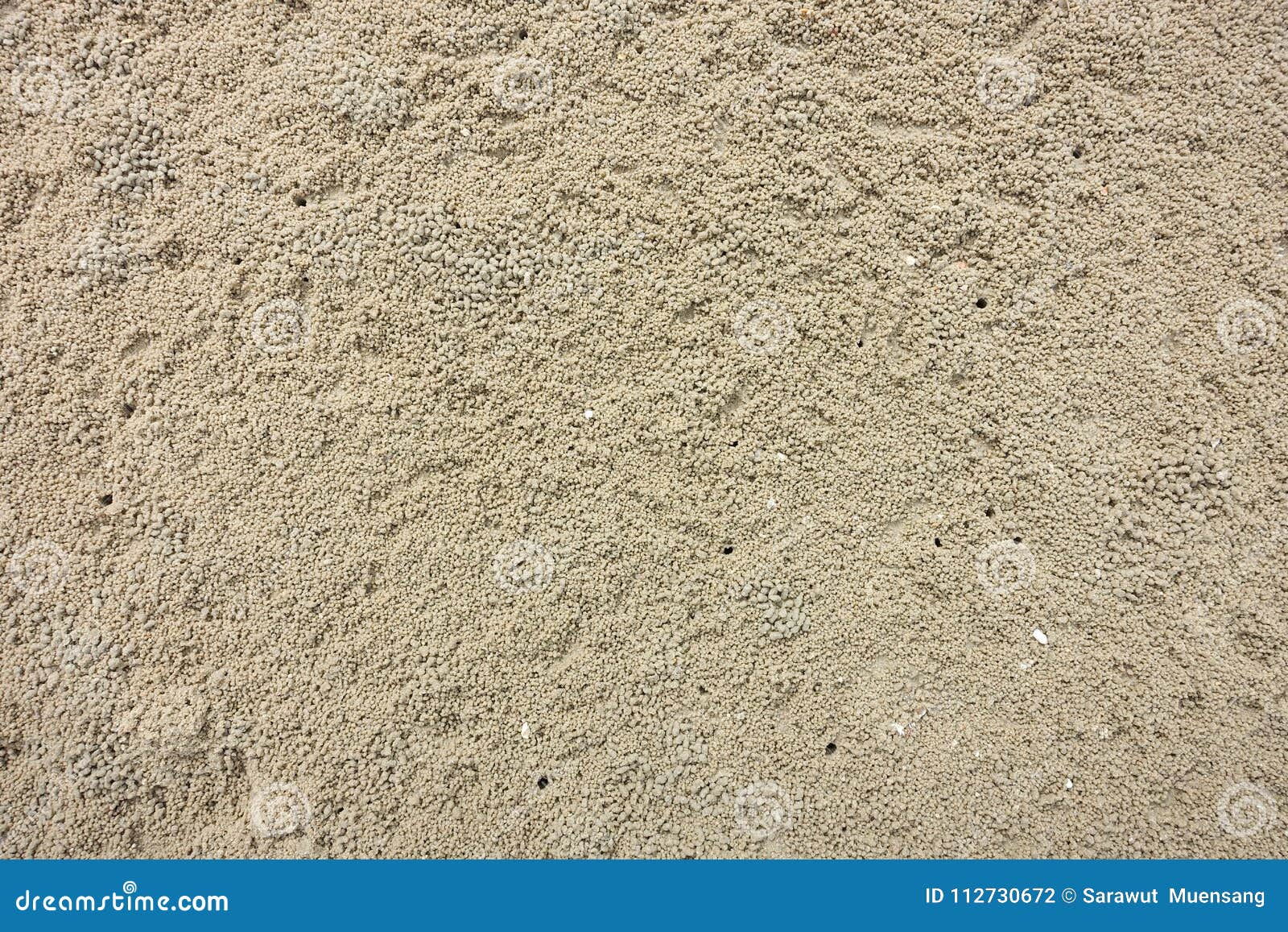 Sandy Soil Texture Background. Stock Photography | CartoonDealer.com ...