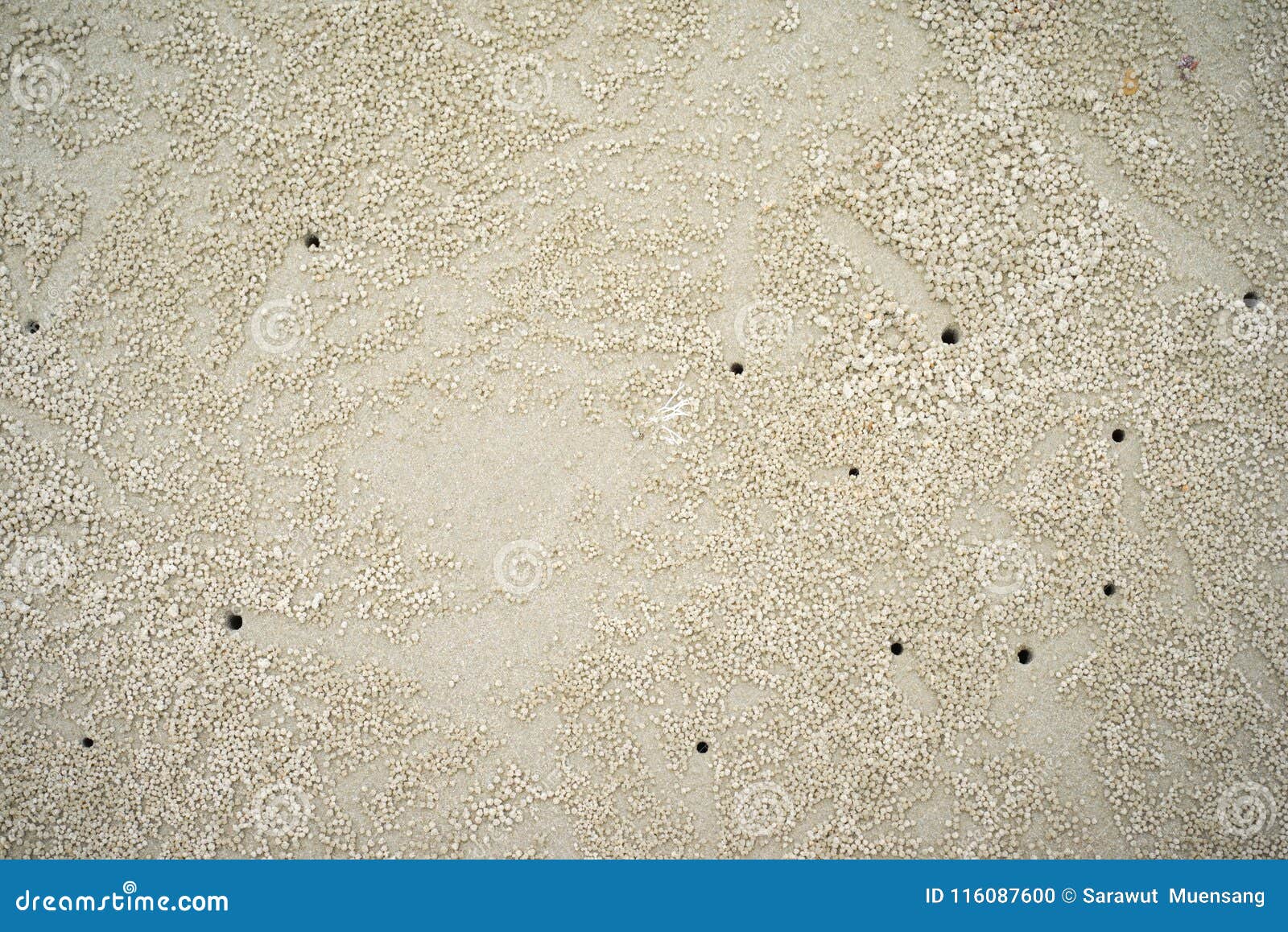 Sandy Soil Texture Background. Stock Photo - Image of small, backdrop ...