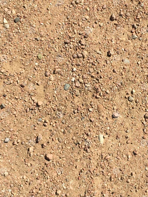 Sandy Steps on a Park Trail Stock Image - Image of steps, sand: 98548899