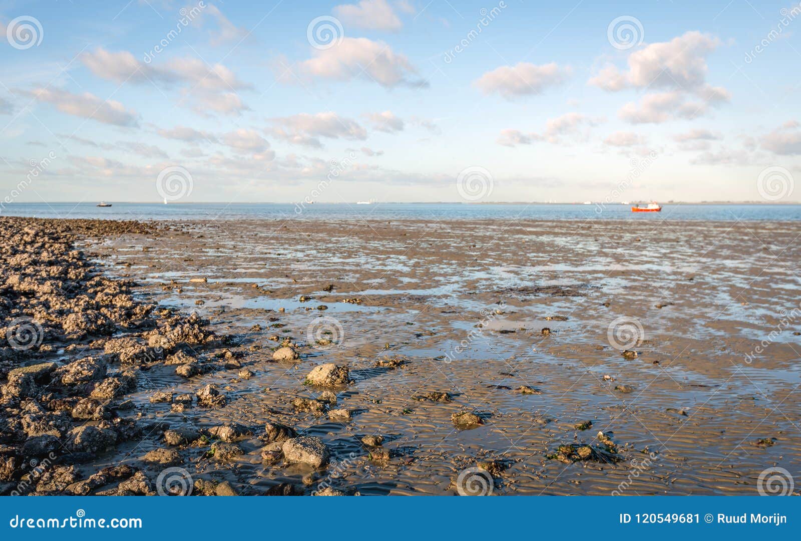 Sandy-Strand an Einem Sonnigen Tag Bei Ebbe Stockbild - Bild von meer ...