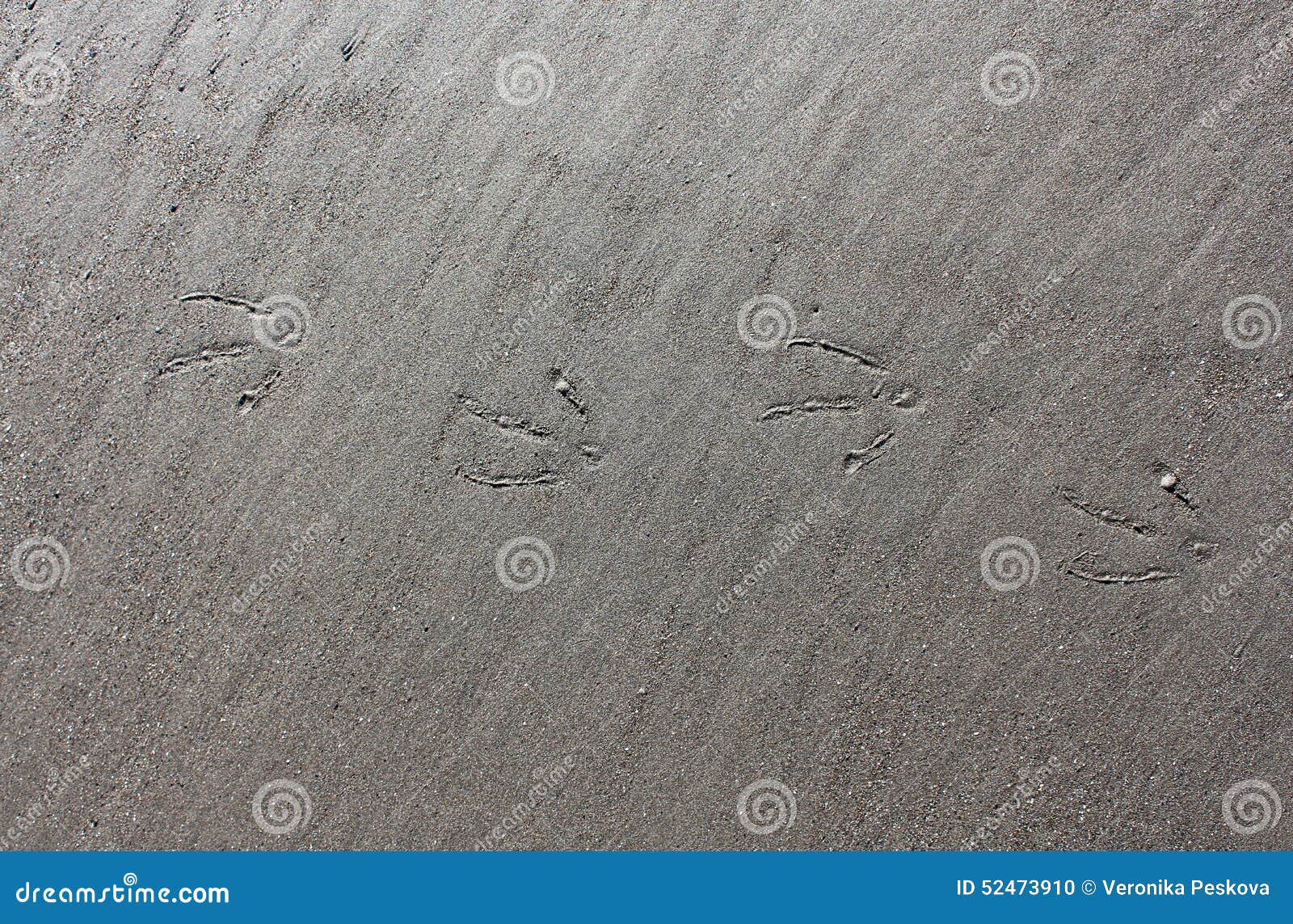 Sandy-Strand Mit Entenabdruck Stockfoto - Bild von material, sand: 52473910