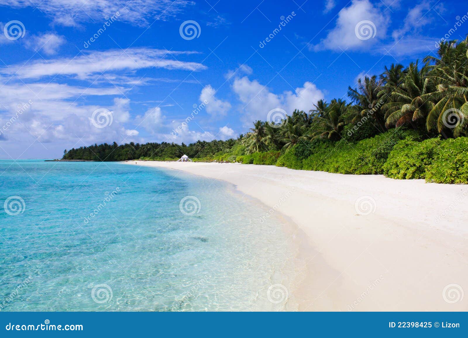Sandy-Strand Mit Palmen Von Maldives Stockbild - Bild von cape, cocos ...
