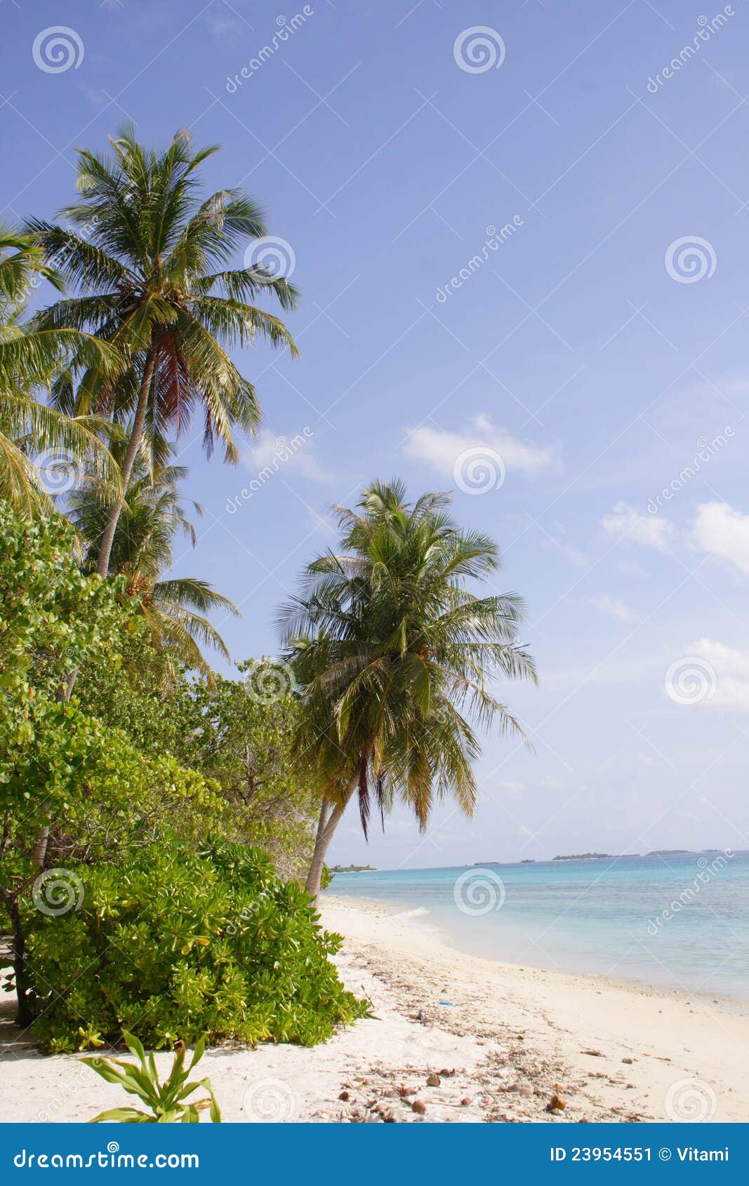 Sandy-Strand- und Palmen stockbild. Bild von ruhe, insel - 23954551