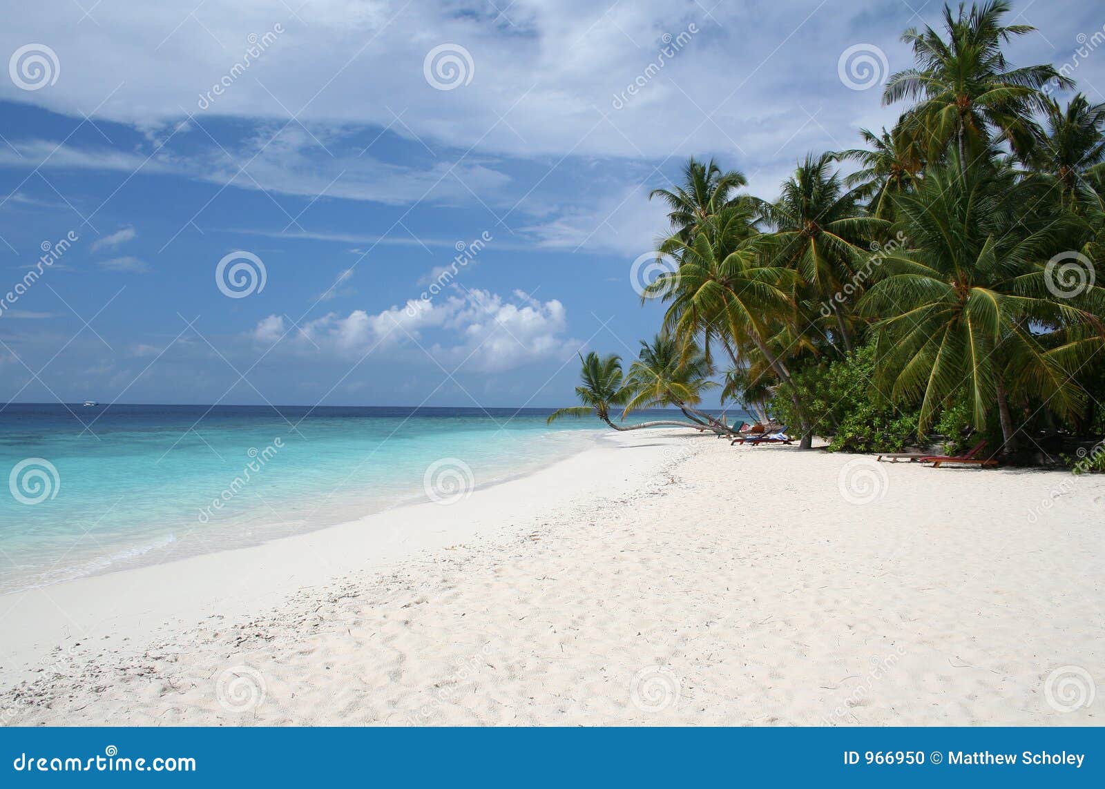 Sandy-Strand Und Tropisches Meer Stockfoto - Bild von tropisch, palme ...