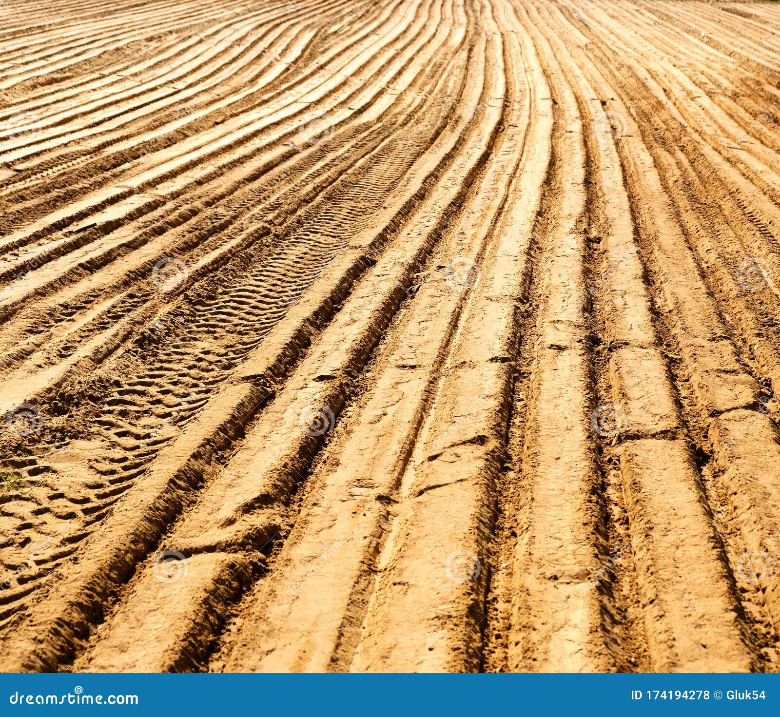 The Sandy Surface of the Construction Site is Leveled with Bulldozers ...