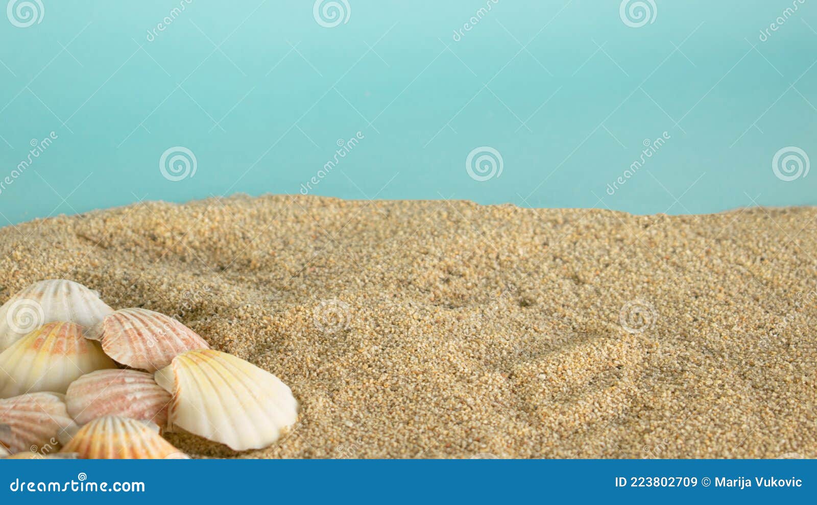 Sandy Summer Beach with Shells in the Corner.travel Exotic Background ...