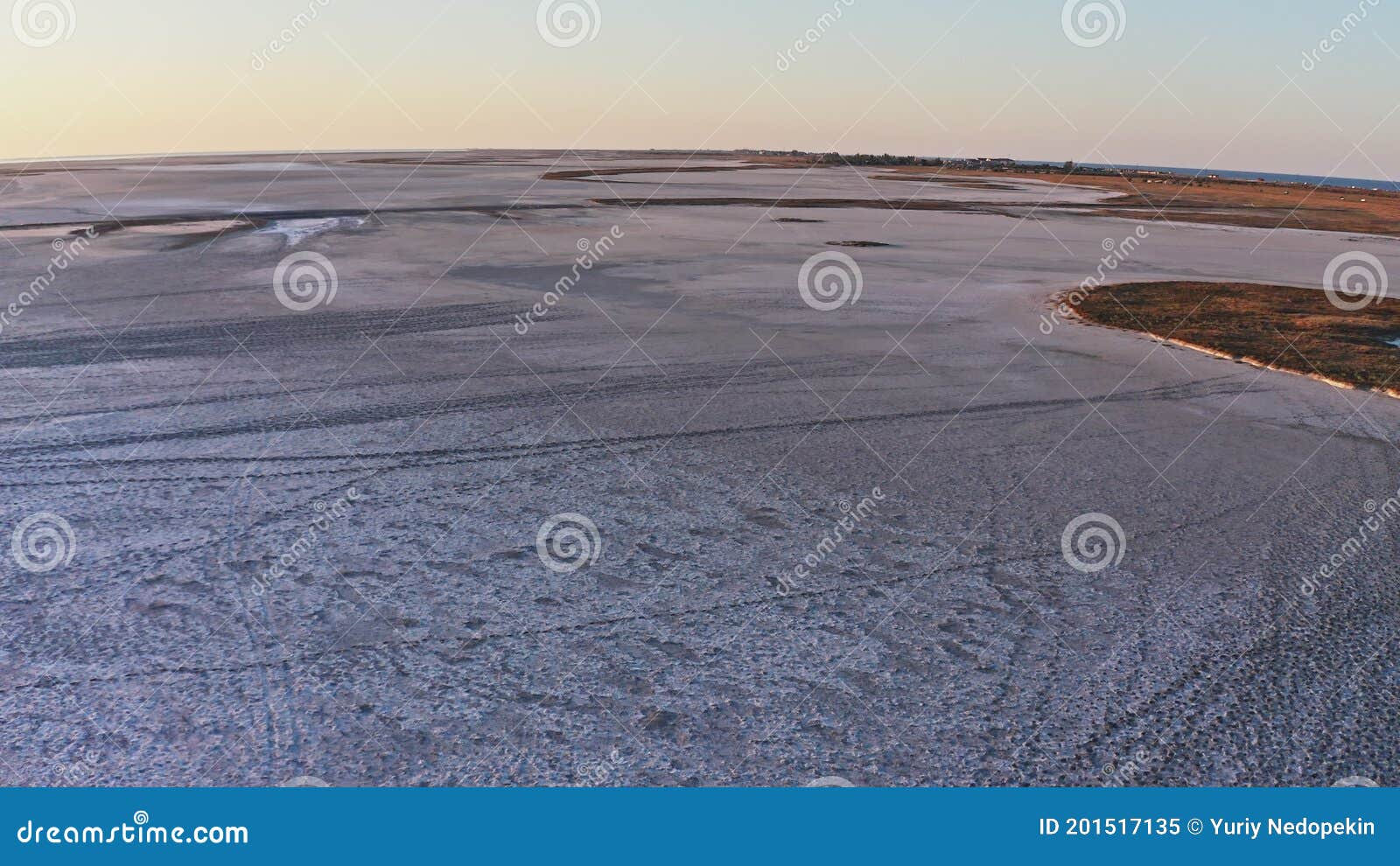 Sandy Swamp with Large Patches of Grass and Bushes Stock Video - Video ...