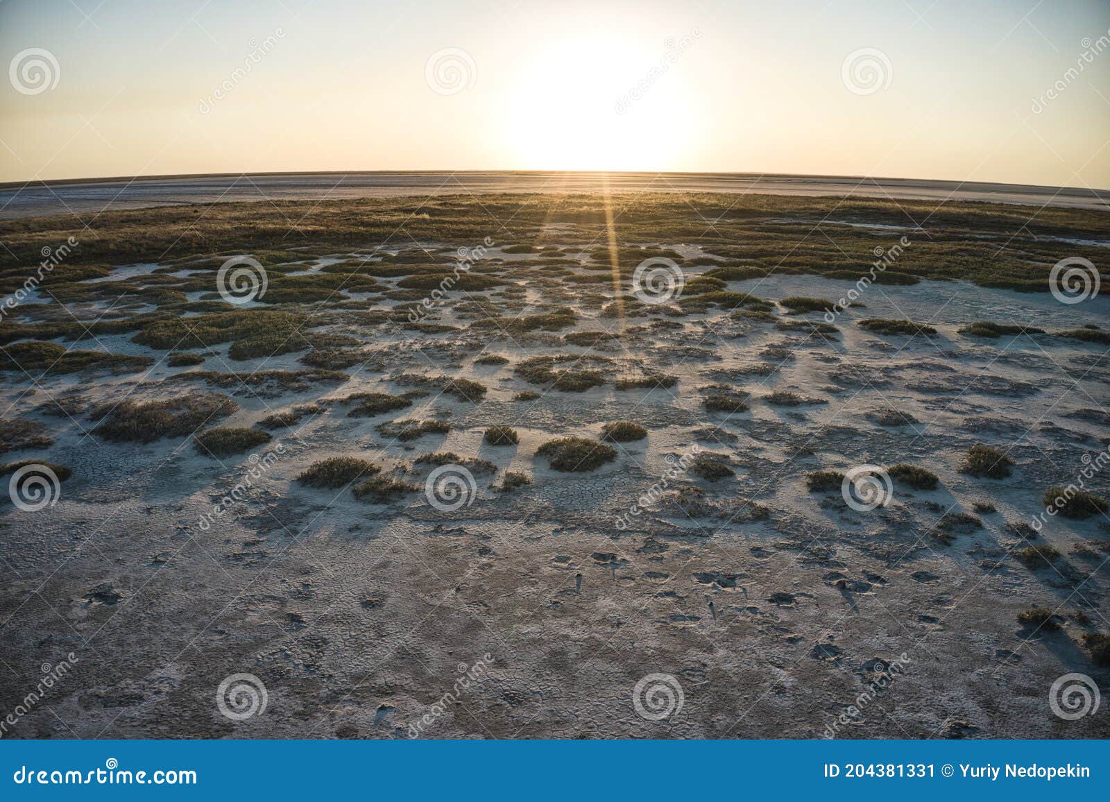 Sandy Swamp with Large Patches of Grass and Bushes Stock Image - Image ...