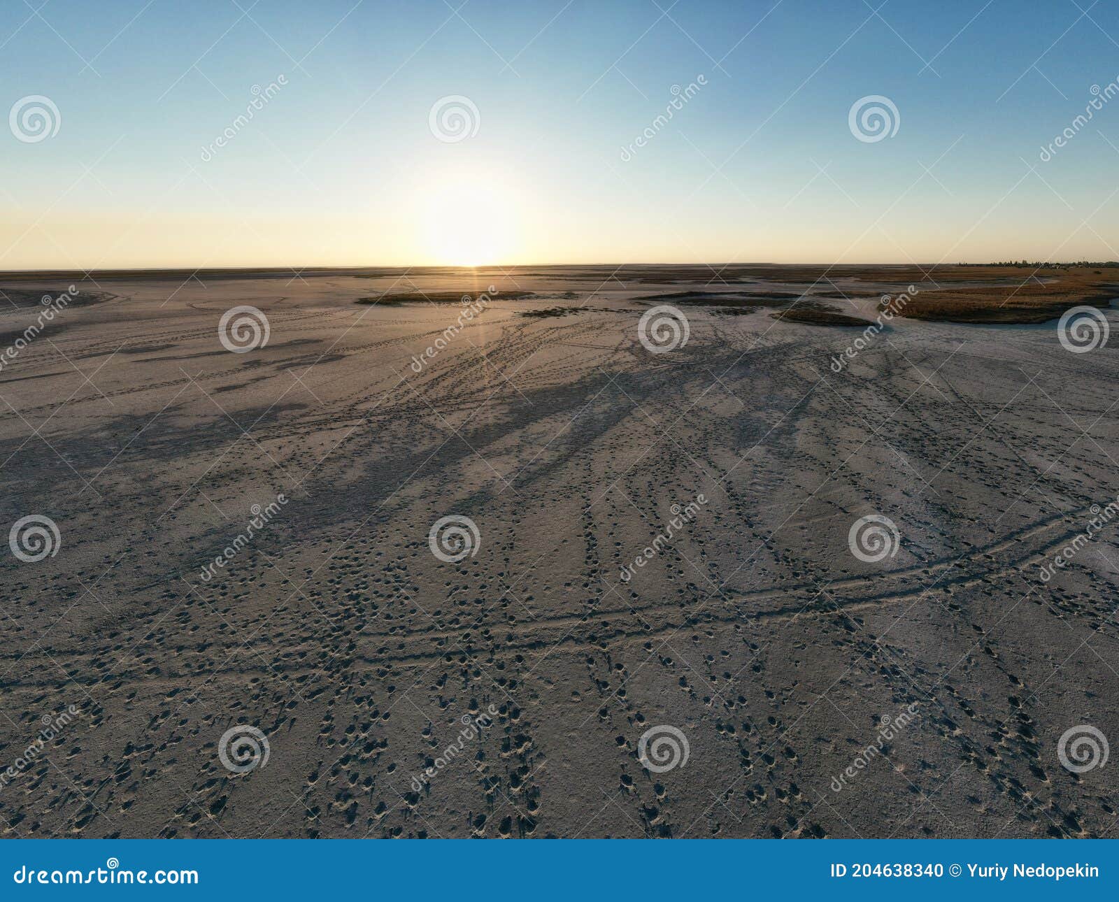 Sandy Swamp with Large Patches of Grass and Bushes Stock Photo - Image ...