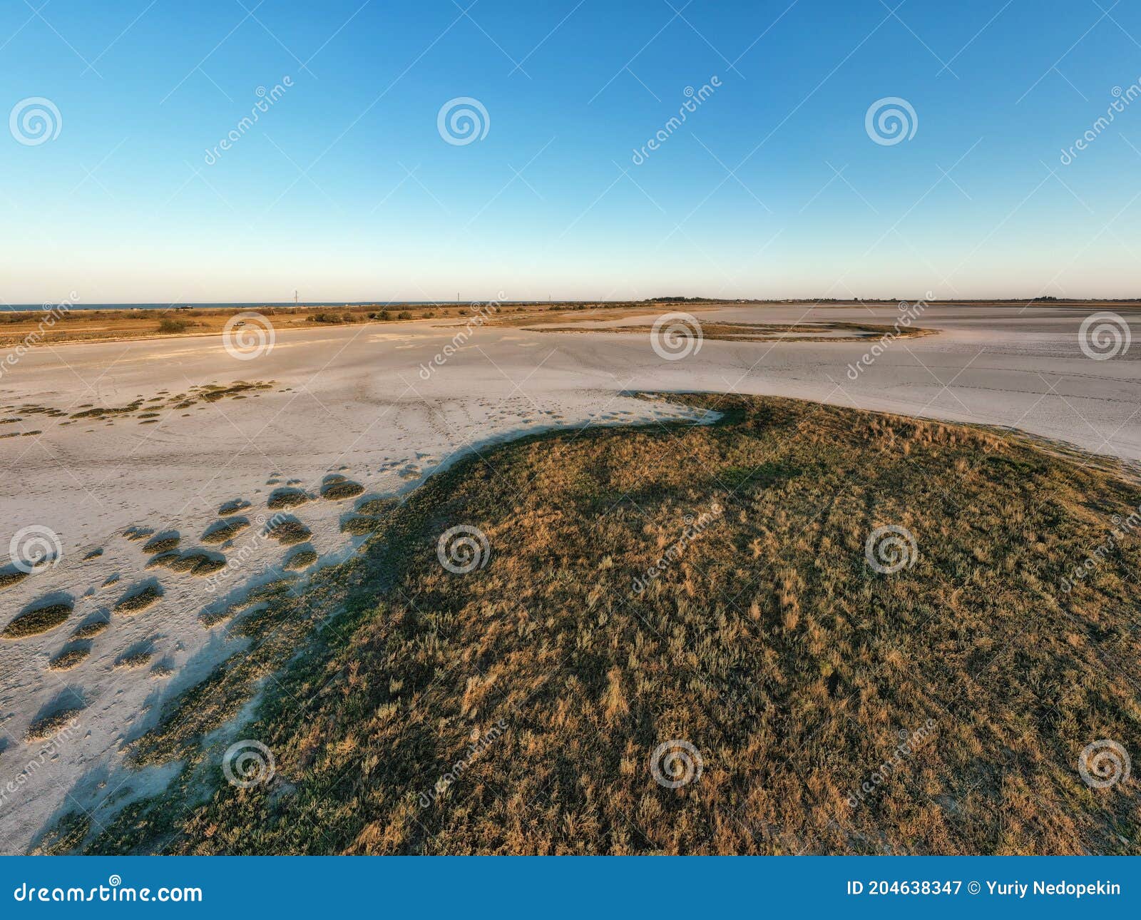 Sandy Swamp with Large Patches of Grass and Bushes Stock Image - Image ...