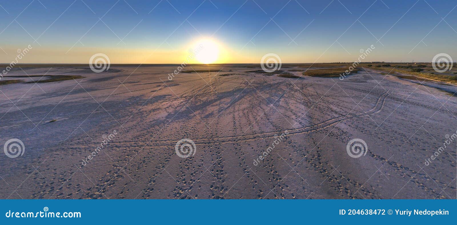 Sandy Swamp with Large Patches of Grass and Bushes Stock Photo - Image ...