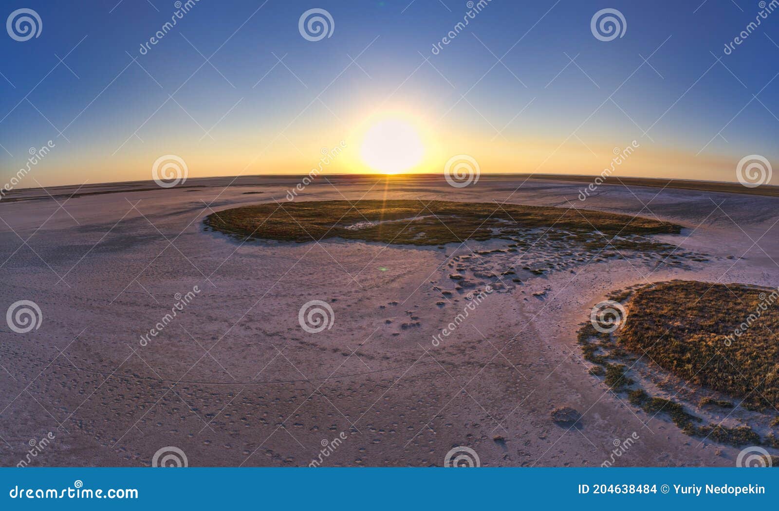 Sandy Swamp with Large Patches of Grass and Bushes Stock Photo - Image ...