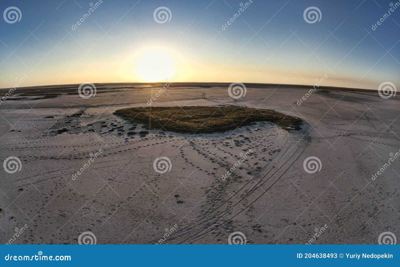 Sandy Swamp with Large Patches of Grass and Bushes Stock Image - Image ...