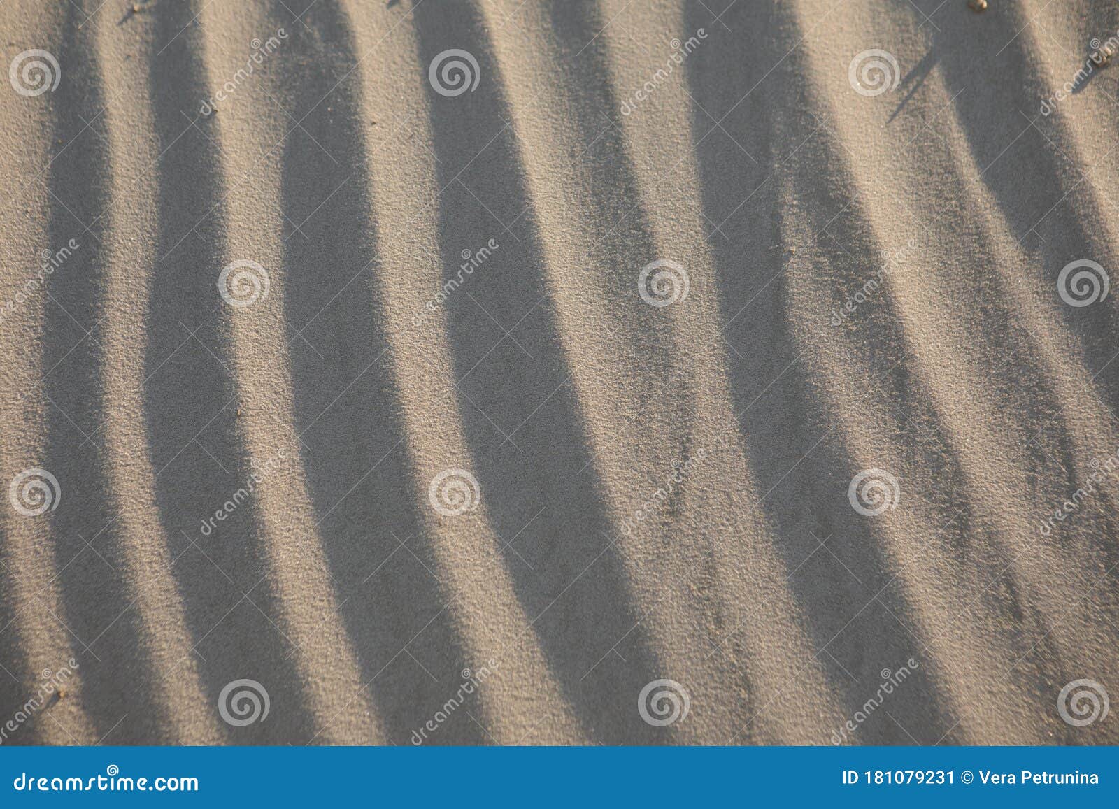 Sandy Texture with Shadows and Winds Waves Stock Image - Image of ...
