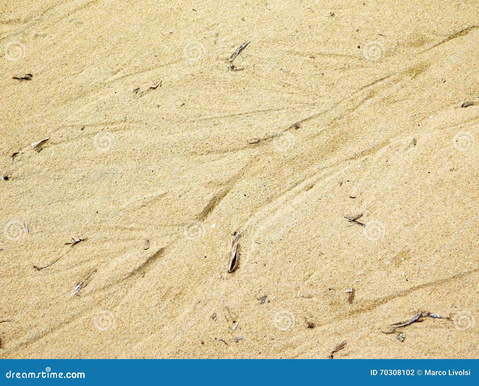 Sandy texture stock photo. Image of clean, backdrop, tropical - 70308102