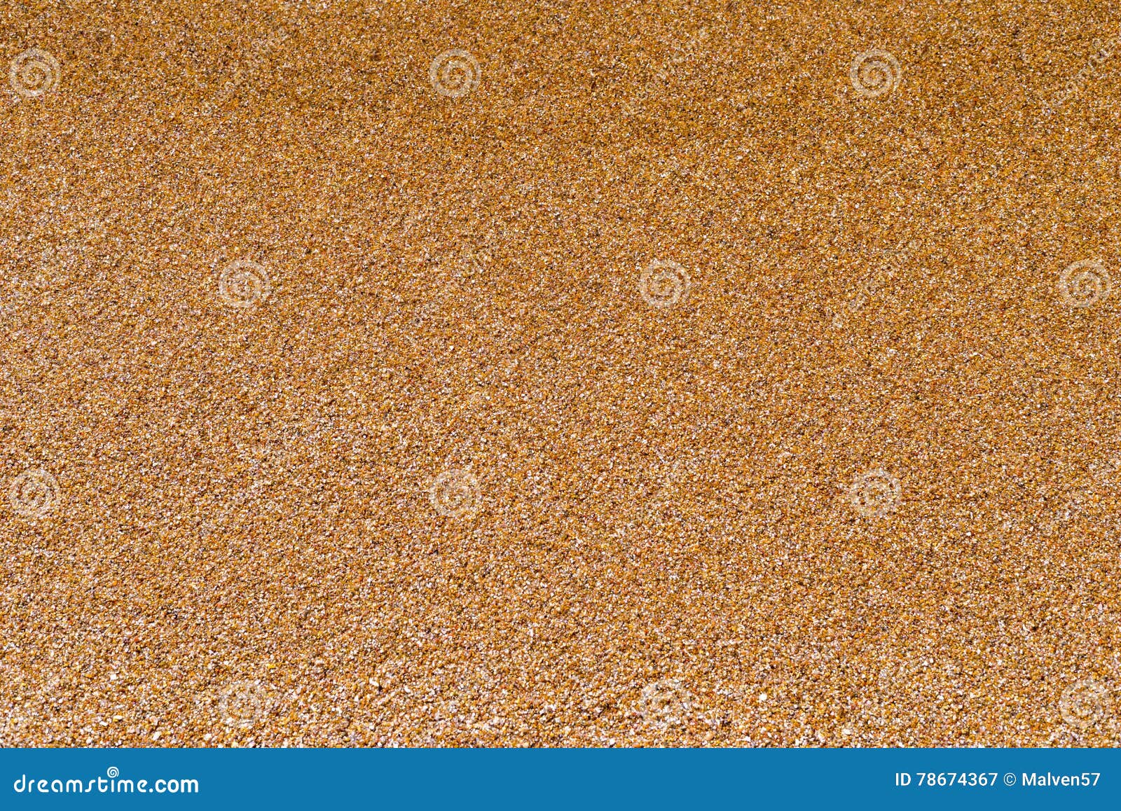Sandy Textured Surface of Brown Color Stock Image - Image of nature ...