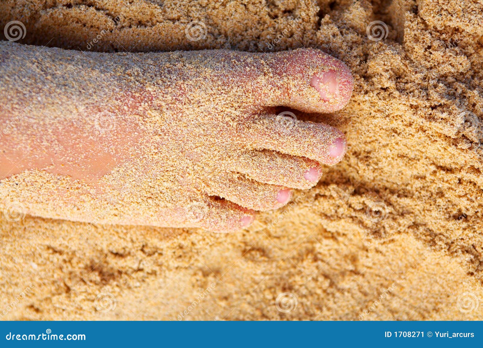 Sandy Toes stock image. Image of grain, summer, details - 1708271