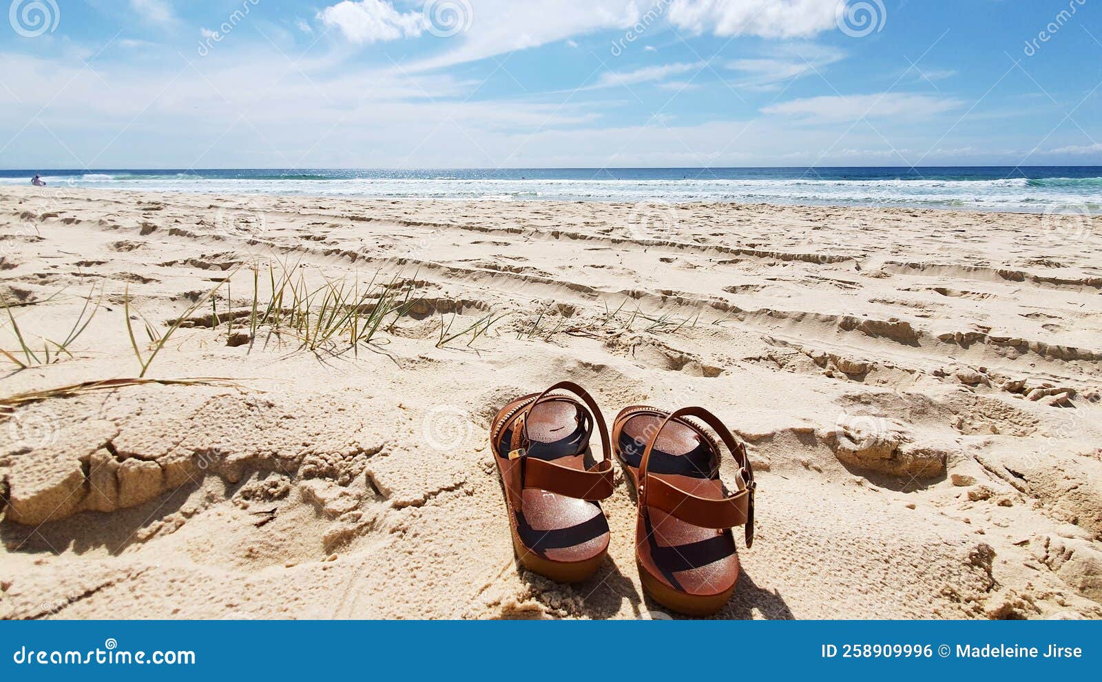 Sandy toes . stock photo. Image of toes, ocean, horizon - 258909996