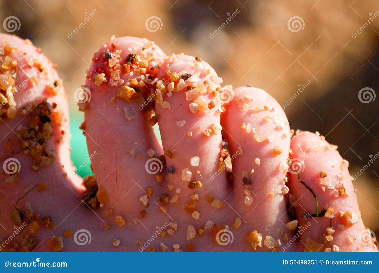 Sandy Toes stock image. Image of sandy, toes, skin, beach - 50488251