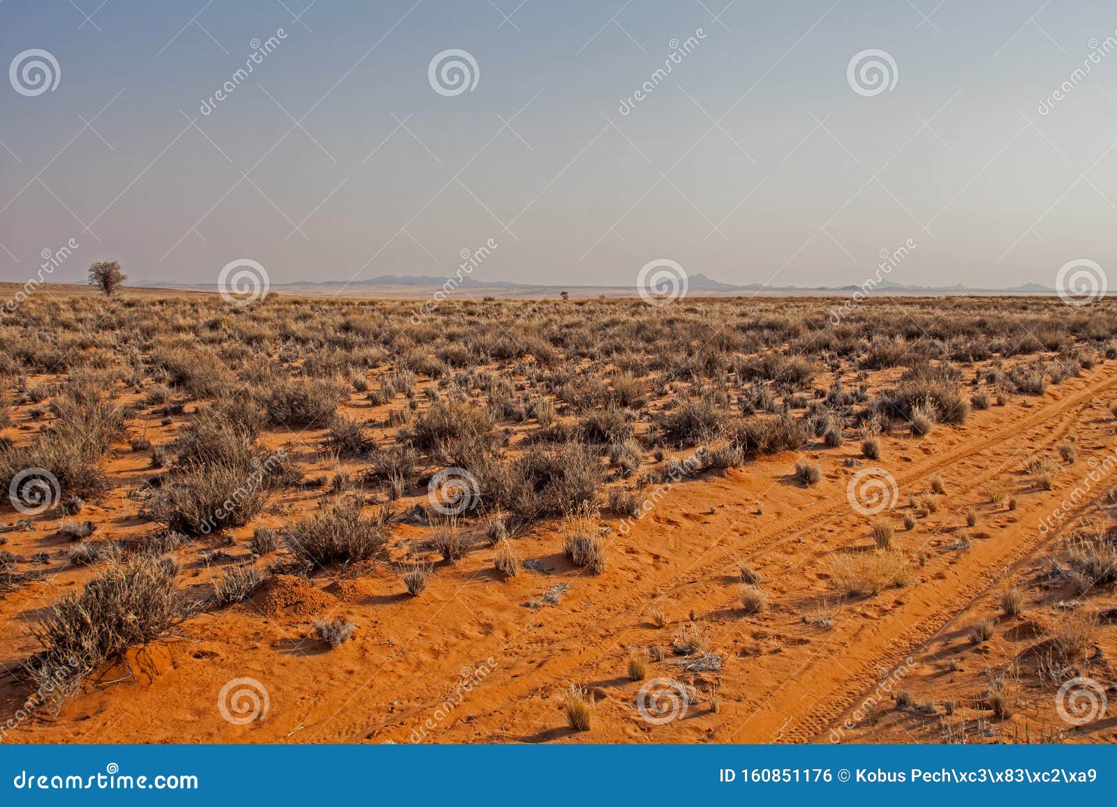 Sandy Track in the Kalahari Desert Stock Photo - Image of clouds, empty ...