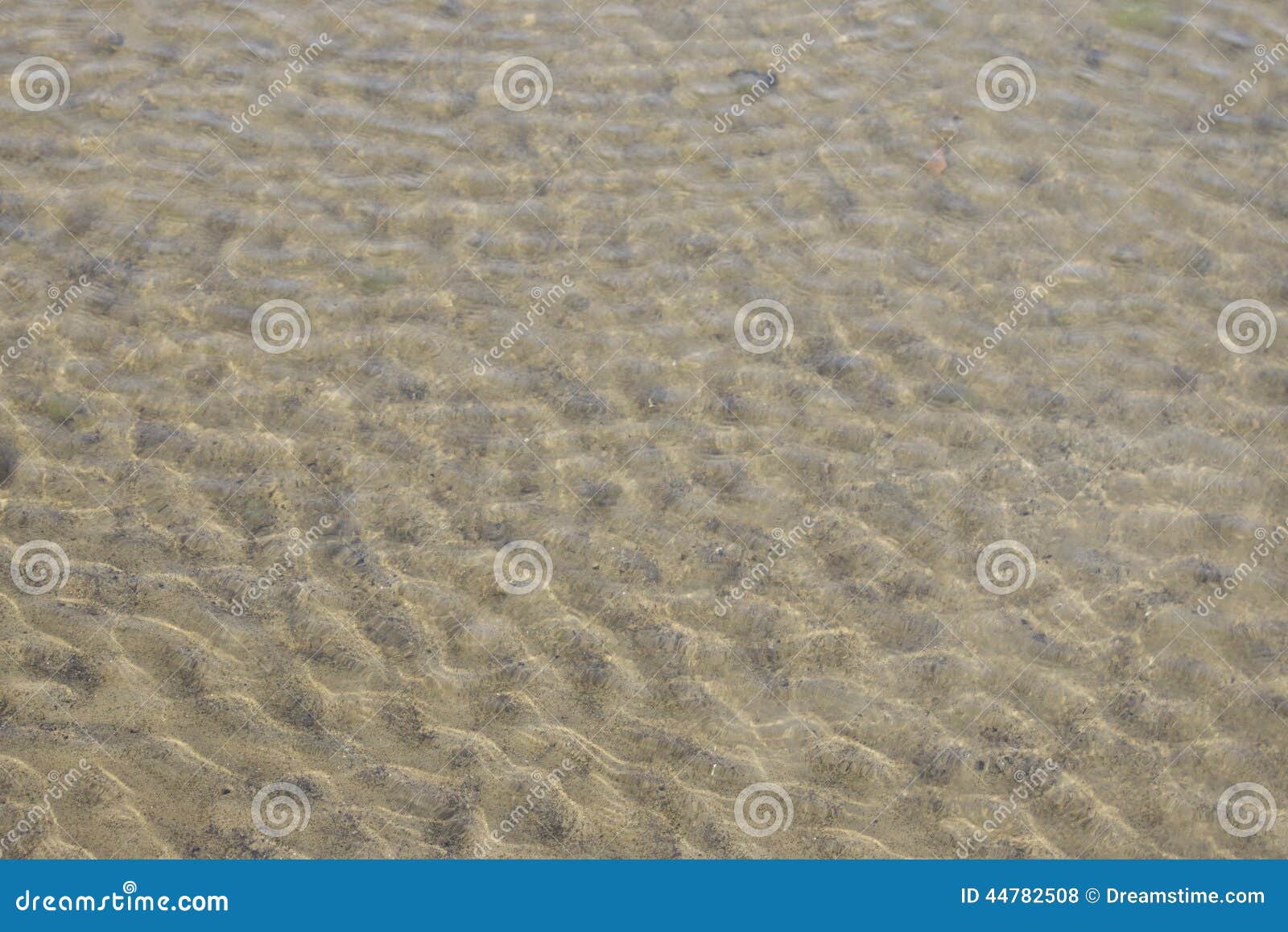 Sandy water editorial stock photo. Image of ripple, water - 44782508