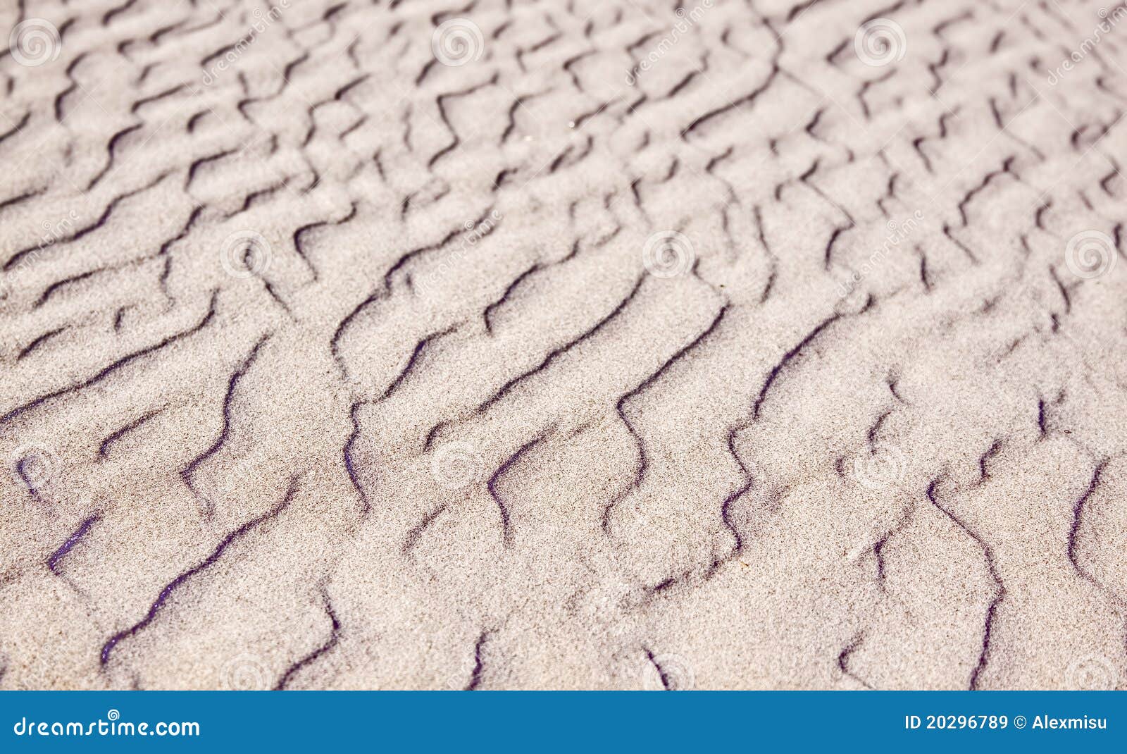 Sandy waves stock image. Image of coast, ripples, sunny - 20296789