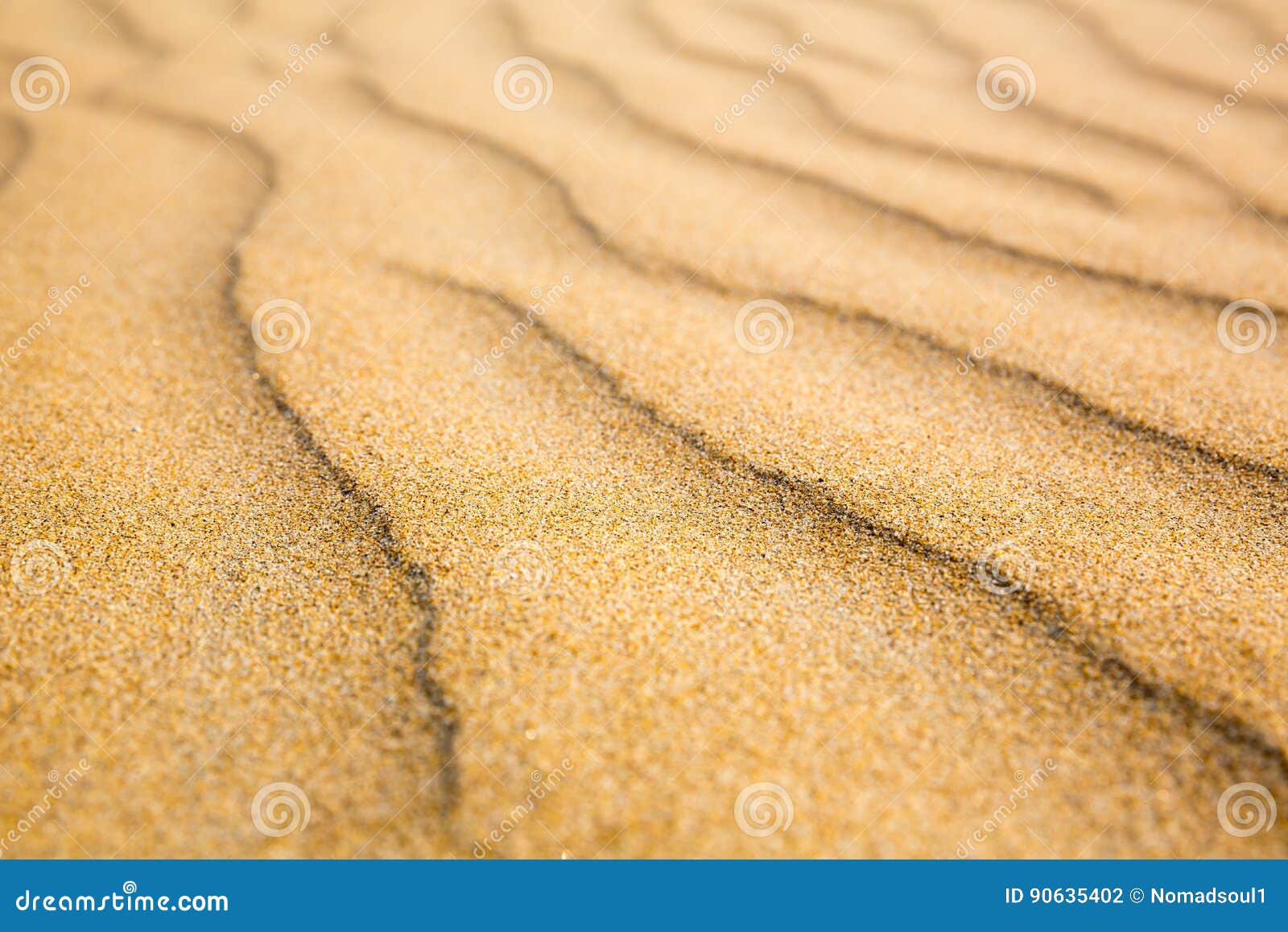 Sandy Waves, Beach on Ceylon Coast Stock Photo - Image of exotic ...