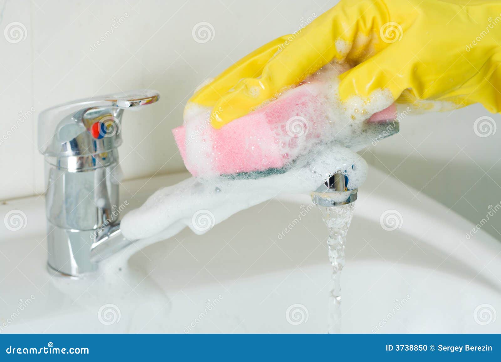 Sanitary Clearing of a Sink Stock Photo - Image of body, disinfect: 3738850