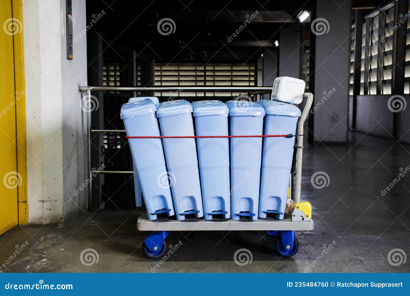 Sanitary Napkin Bin on Trolley Service Stock Photo - Image of healthy ...