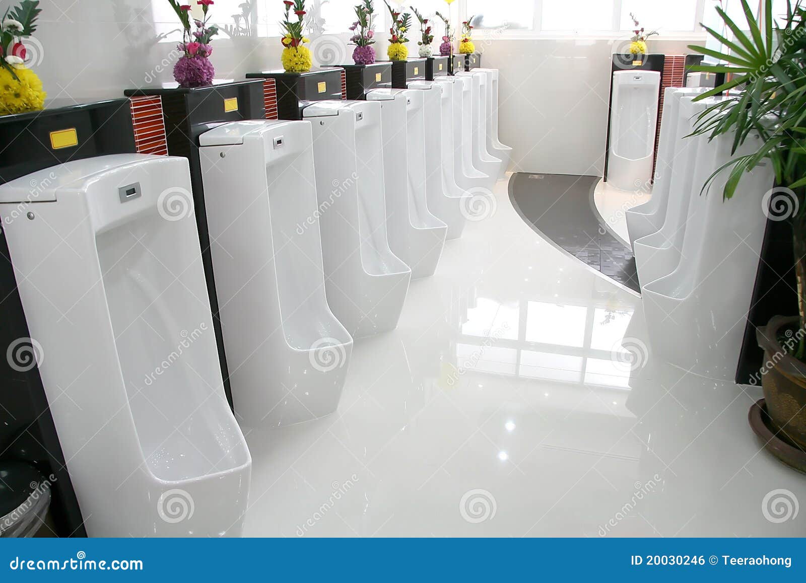 Sanitary ware stock photo. Image of pull, hygiene, privacy - 20030246