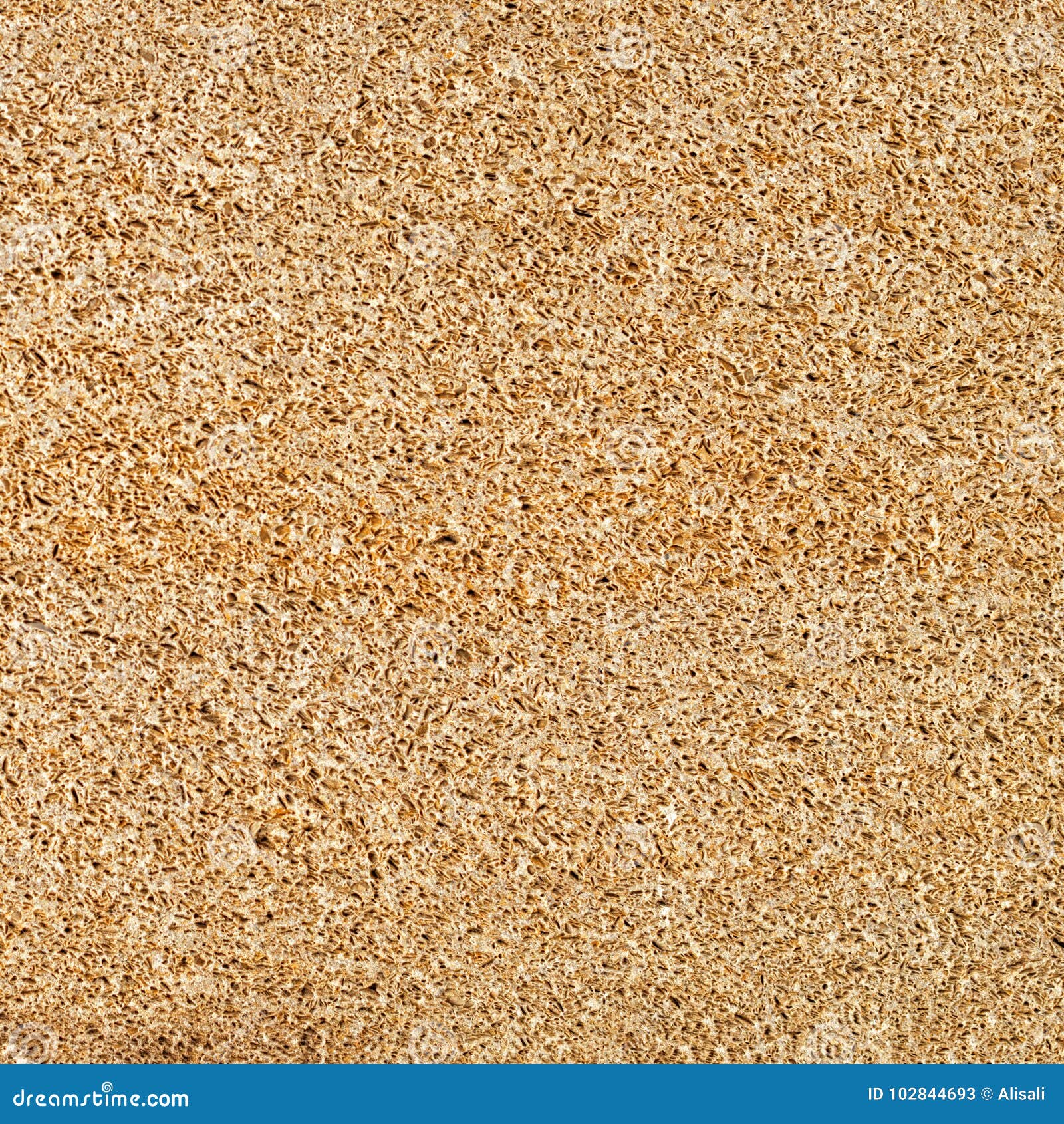Sans Couture De La Texture Poreuse De Ponce, Pierre Naturelle Image ...