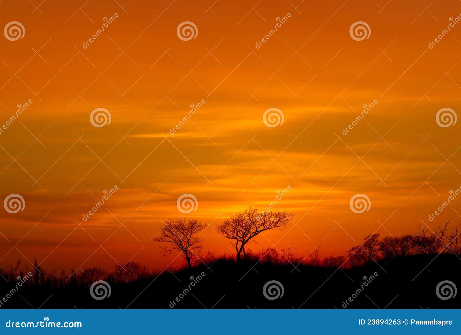 Sanset landscape stock image. Image of evening, clouds - 23894263