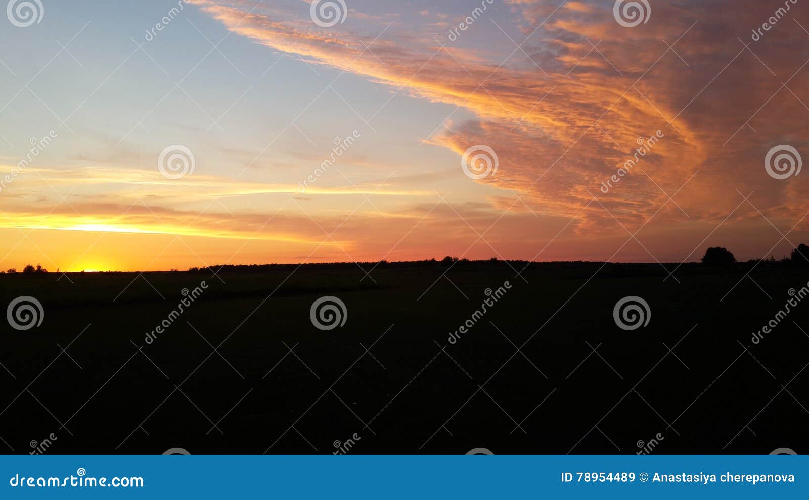 Sanset in the meadow stock image. Image of nature, sanset - 78954489
