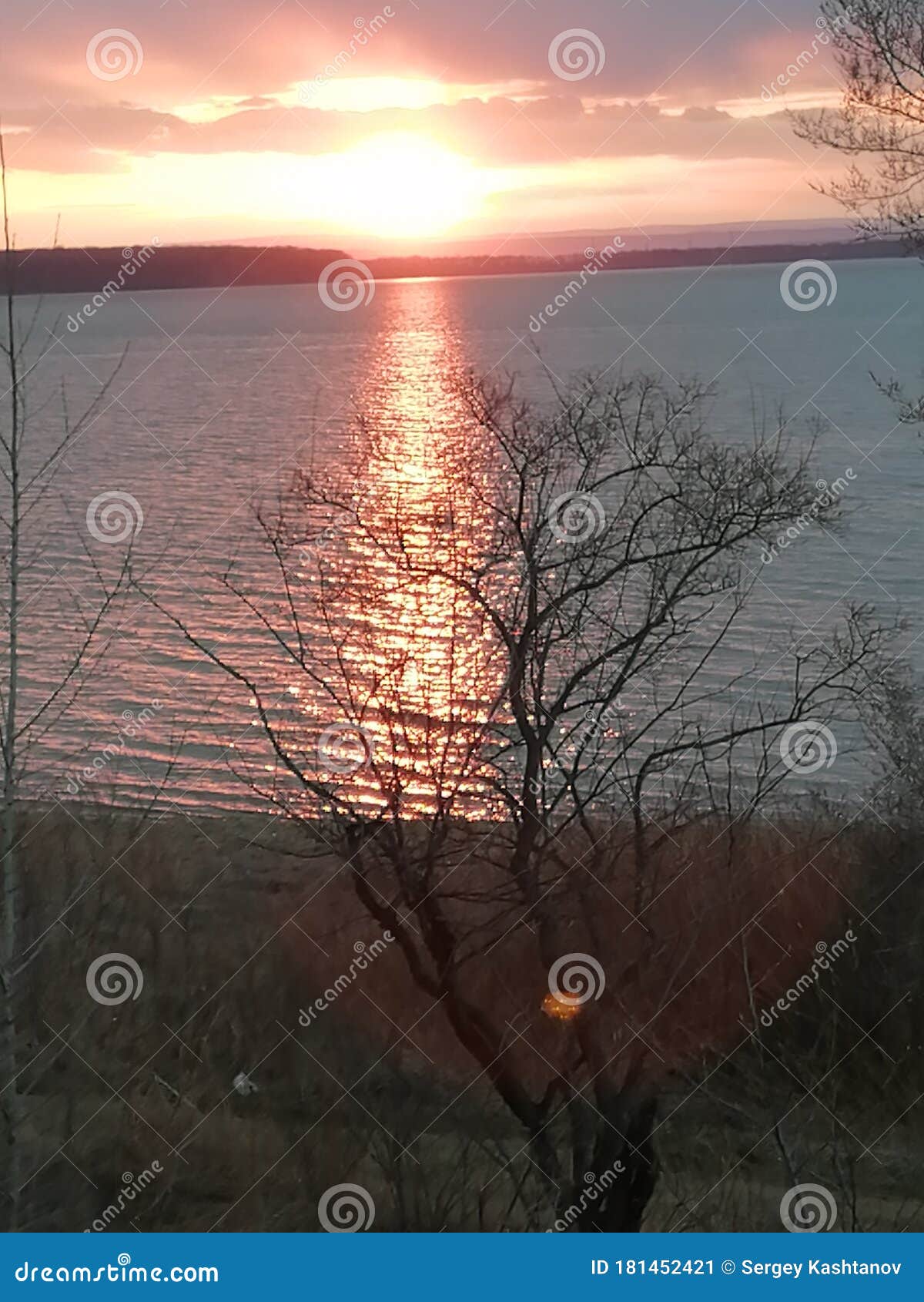 Sanset in sea stock image. Image of sunset, tree, sanset - 181452421