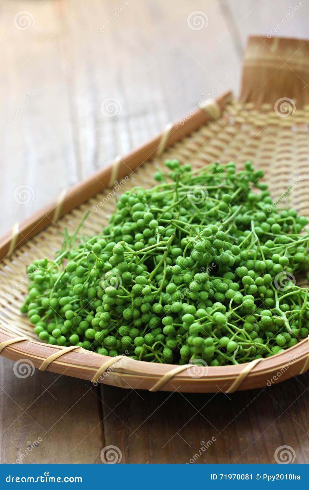 Sansho japanese pepper stock image. Image of pepper, sansho - 71970081