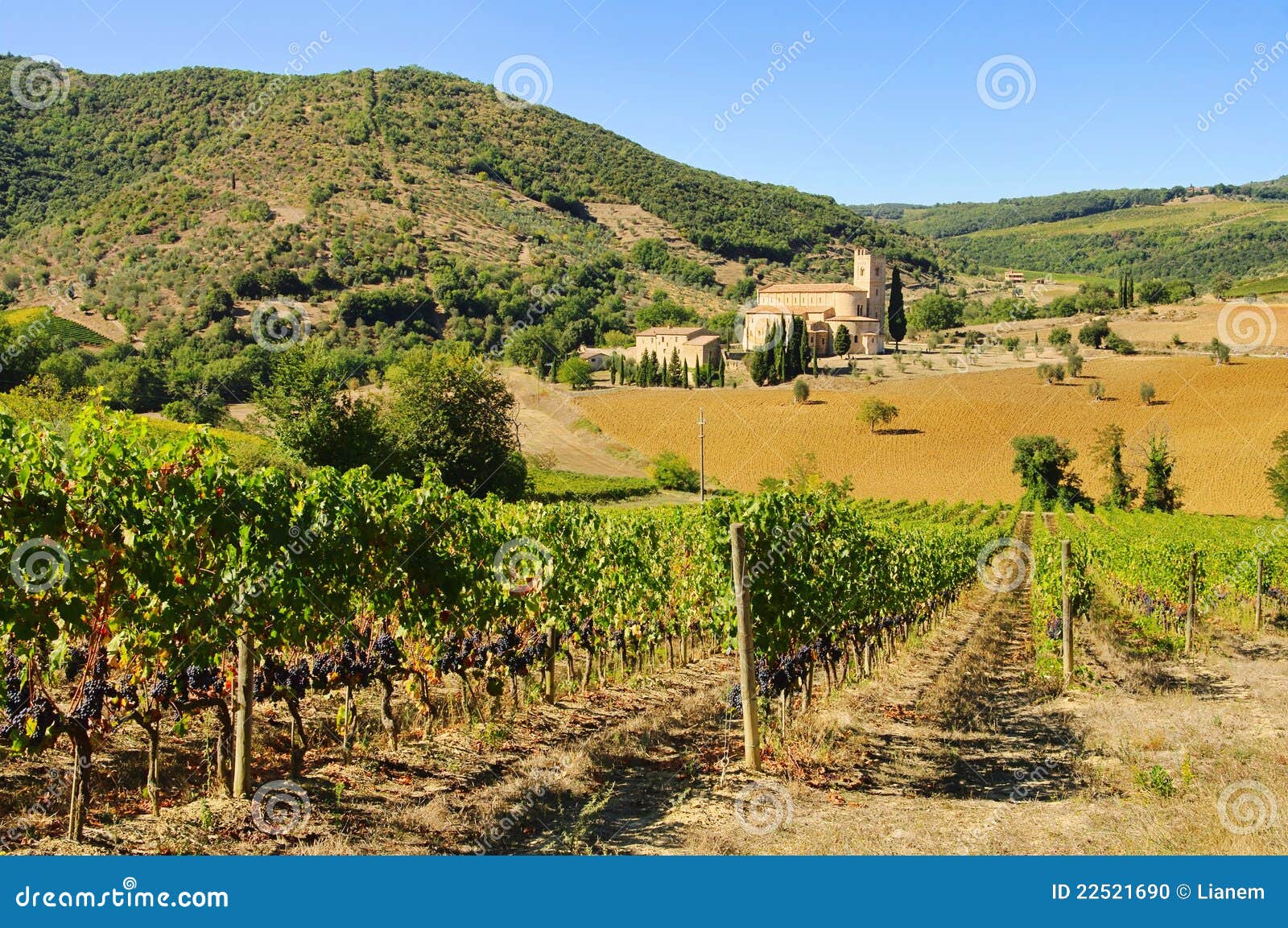 Sant Antimo stock photo. Image of fall, sant, brick, tuscany - 22521690