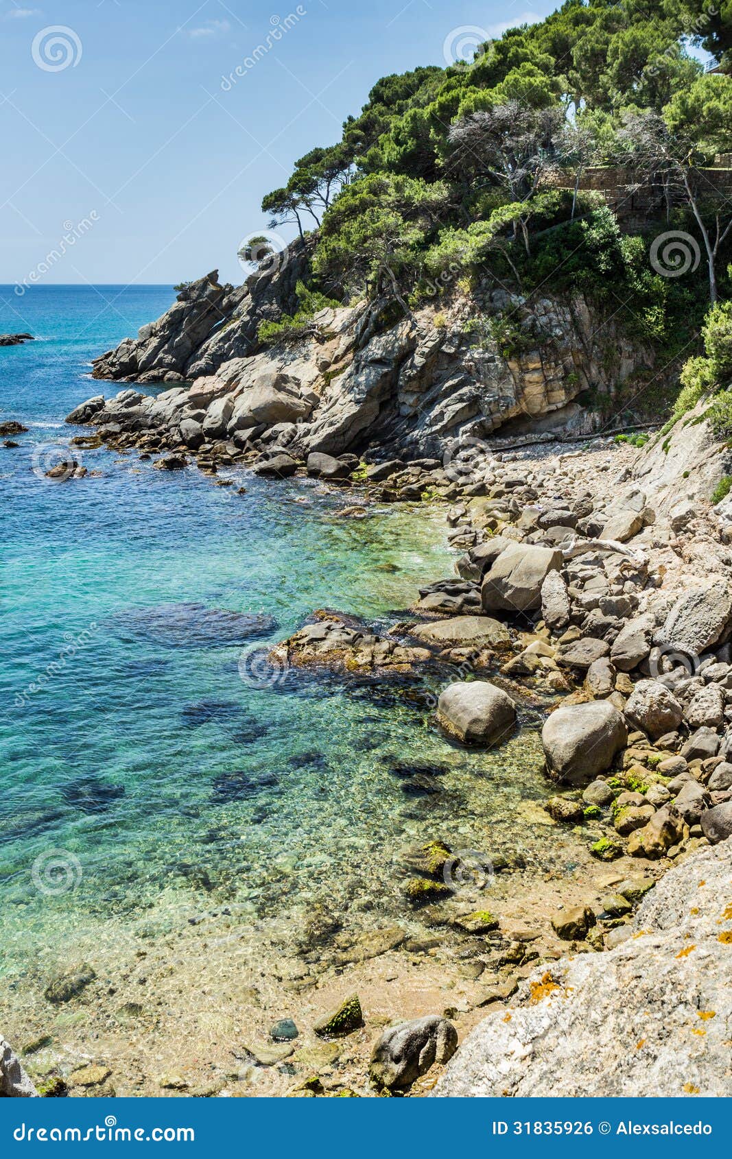Sant Antoni de Calonge stock photo. Image of green, mediterranean ...