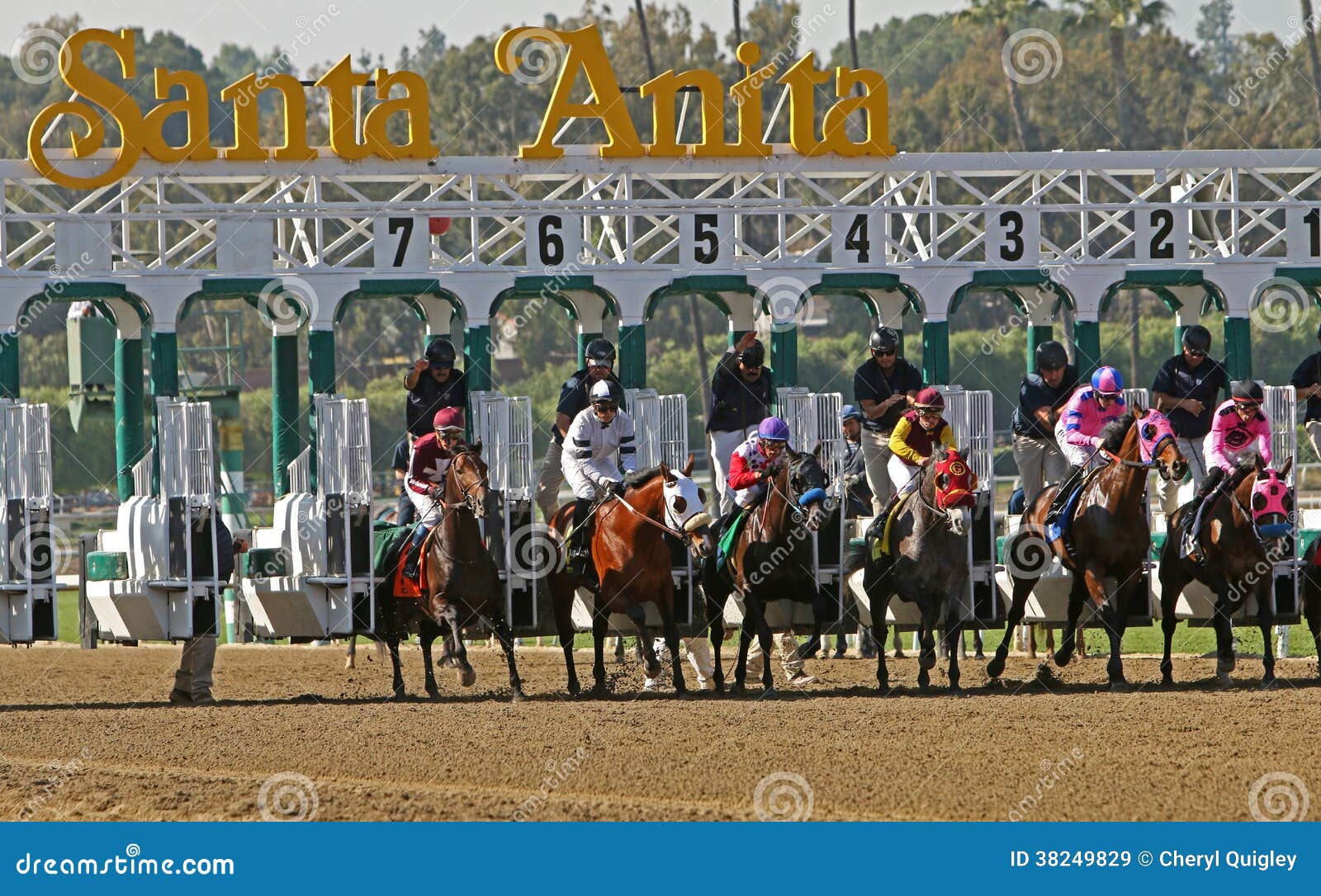 Santa Anita Park Gate Break Editorial Stock Image - Image of gate ...