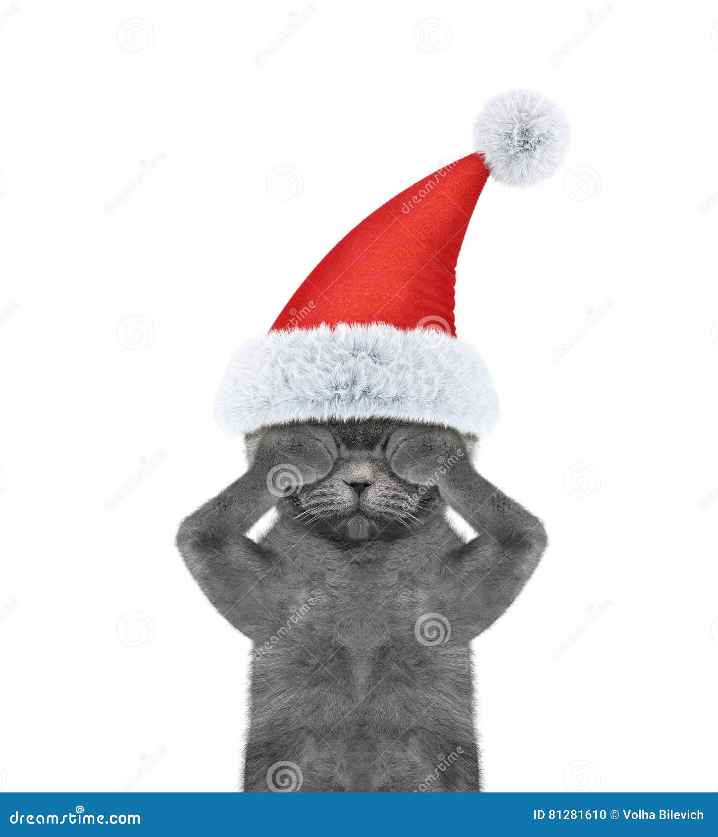 Santa Cat Sadness Hide Its Eyes Stock Photo - Image of concepts, pets ...