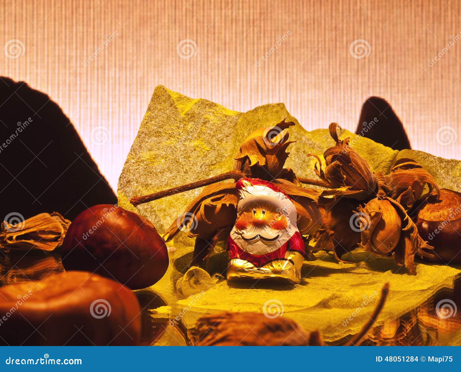 Santa Claus is back home stock photo. Image of growth - 48051284