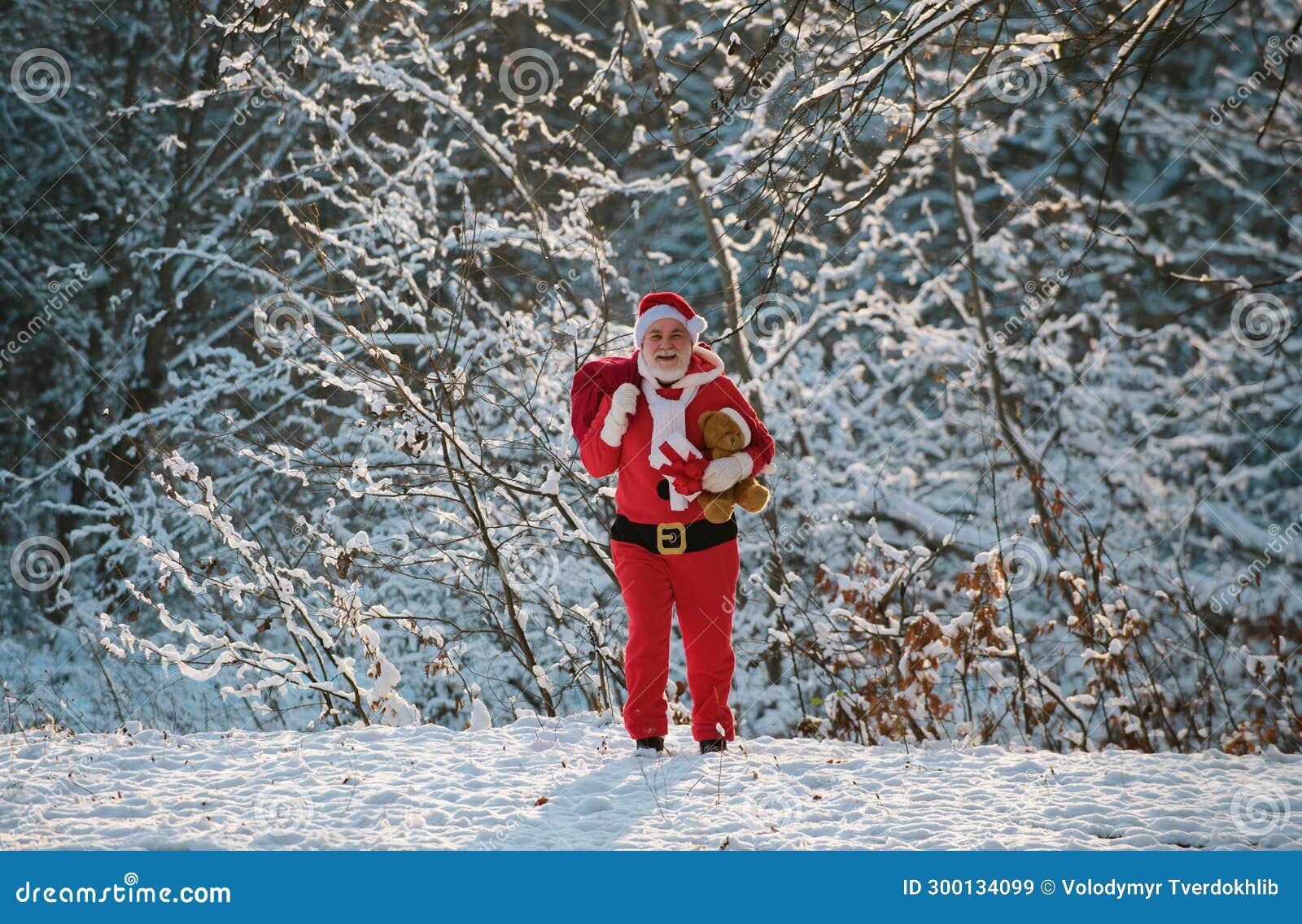 Santa Claus with Christmas Gift in the Snow. Stock Image - Image of ...