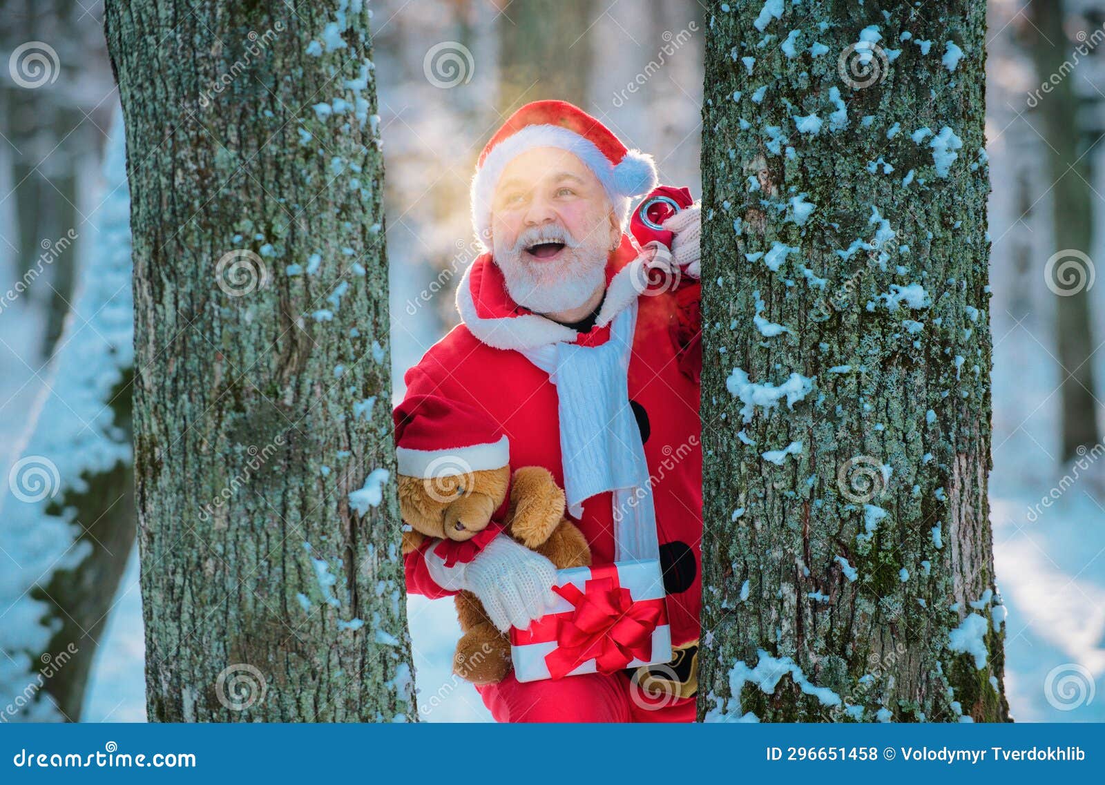 Santa Claus in the Christmas Snow Forest. Stock Photo - Image of forest ...